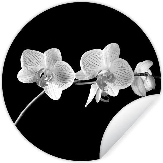 WallCircle - Muurstickers - Behangcirkel - Orchidee - Bloemen - Zwart - Roze - Knoppen... | bol
