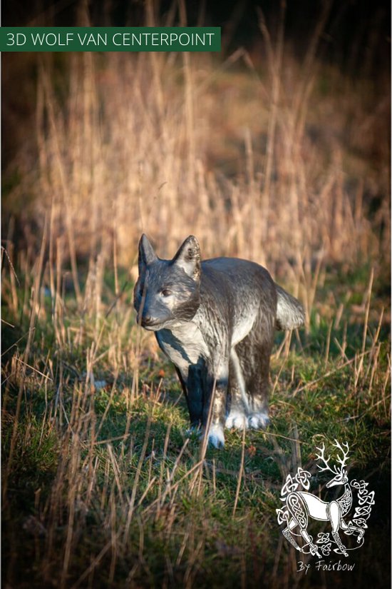 3D DOEL WOLF VAN CENTERPOINT | bol