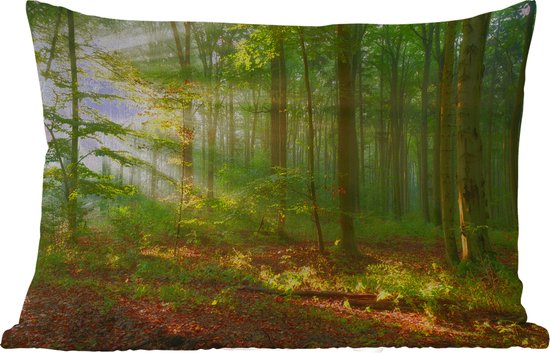 Buitenkussens - Zon - Bos - Bomen - Natuur - Herfst - 60x40 cm ...