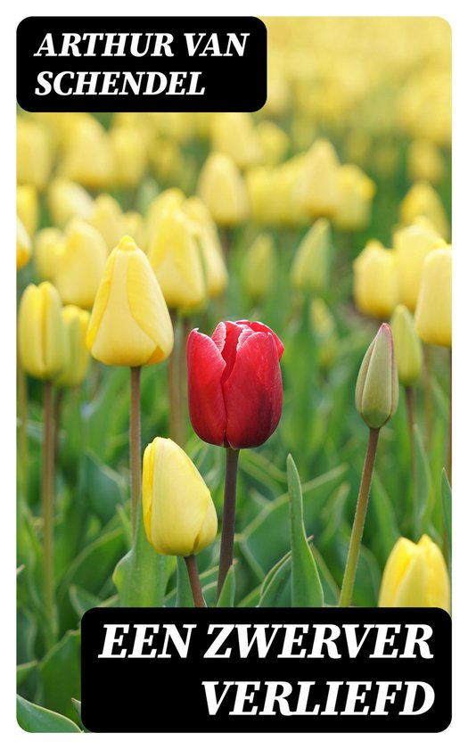 Een Zwerver Verliefd (ebook), Arthur van Schendel | 8596547476962 ...