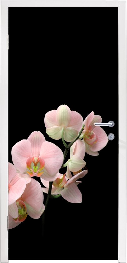 Deursticker Orchidee - Bloemen - Roze - Stilleven - Flora - 95x215 cm - Deurposter | bol