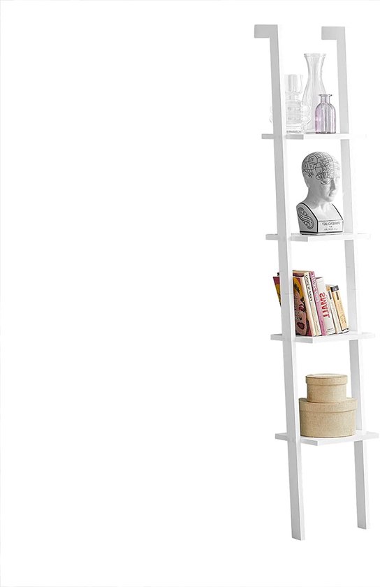 Rootz Moderne 4-laags ladderplank - Wandplank - Standplank - Boekenkast ...