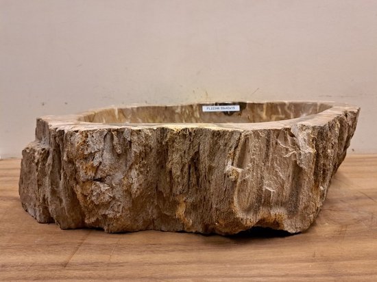 Waskom van versteend hout - 59x43x15cm - FL22346 | bol