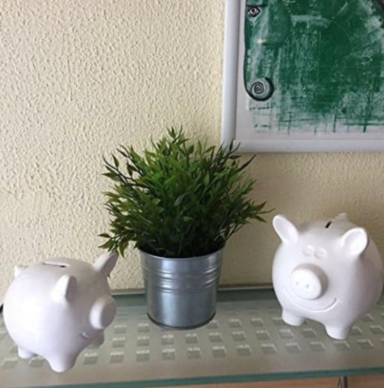 Spaarpot Groot - Grote Spaarpot - Grote Spaarpot Voor Volwassenen | bol