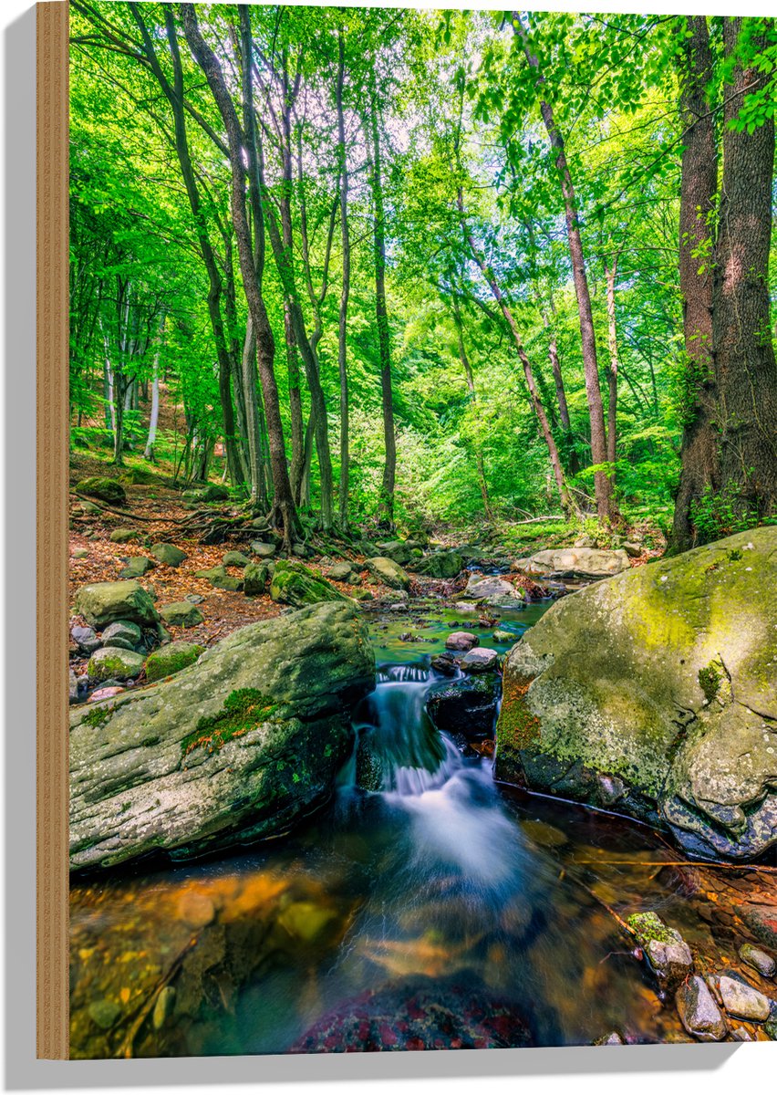 Hout - Bos met een Stromend Beekje tussen Stenen - 40x60 cm - 9 mm dik ...