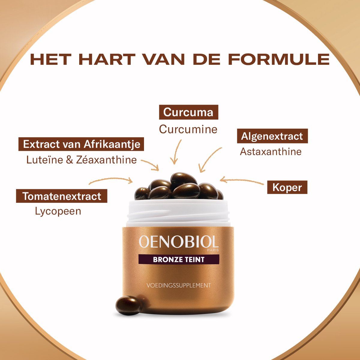 Oenobiol Bronze Teint - voor Lichte Huid - Zelfbruiner - Bruiner zonder Zon - 2 x 30... | bol.com