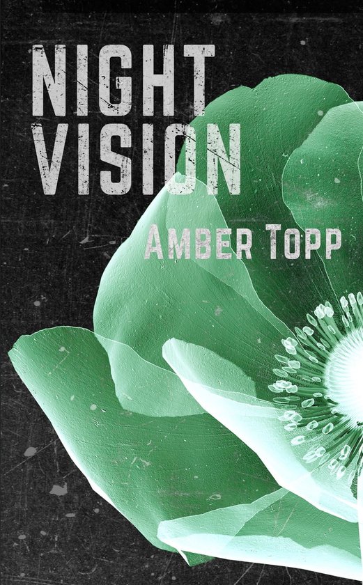 Night Vision (ebook), Amber Topp | 9781990644511 | Boeken | bol.com
