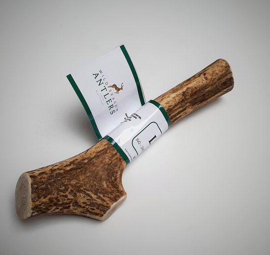 Wild Season Antlers - Hertengewei - Gewei - Antler - Vol Hond - 140-245 ...