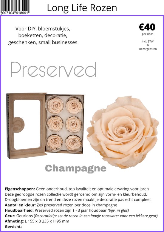 Long Life Rozen - roos - gedroogde rozen - preserved roses - flowers ...