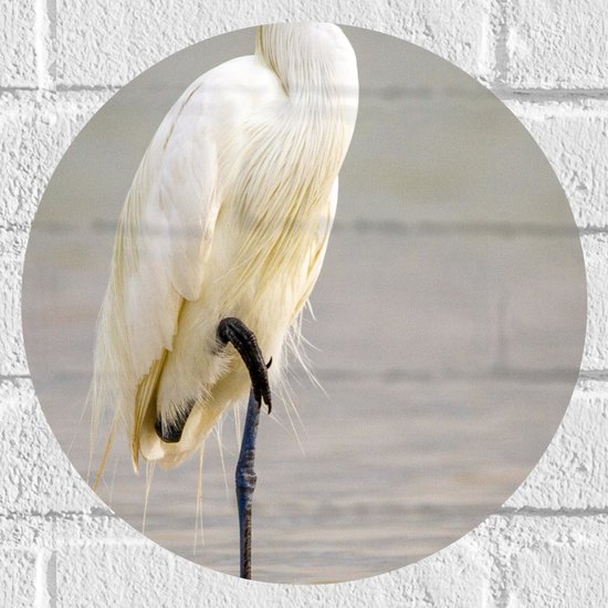 WallClassics - Muursticker Cirkel - Witte Reiger met Poot in het Water ...