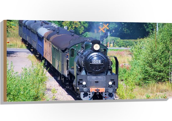 WallClassics - Hout - Trein tussen Struiken - 100x50 cm - 9 mm dik ...