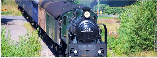 WallClassics - Poster (Mat) - Trein tussen Struiken - 90x30 cm Foto op ...