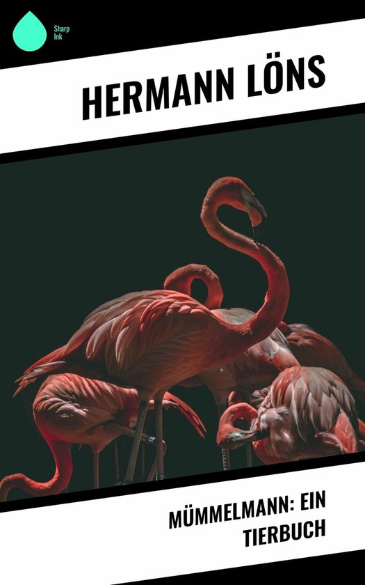 Mümmelmann: Ein Tierbuch (ebook), Hermann Löns | 9788028270377 | Boeken ...