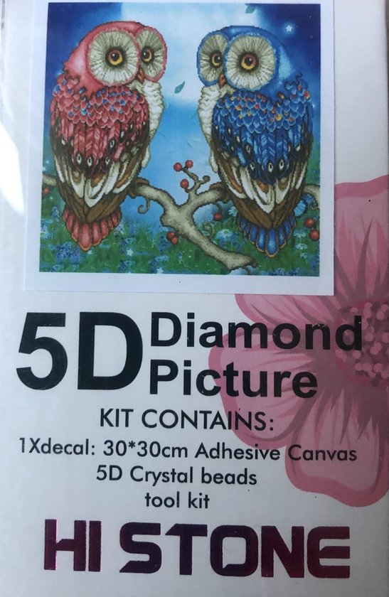 Diamant painting 5d 30x30 /Hi Stone/knutselen#DIY#toolkit#crystal beads ...