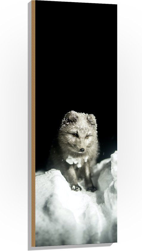 WallClassics - Hout - Grijze Vos in de Sneeuw - Poolvos - 40x120 cm - 9 ...
