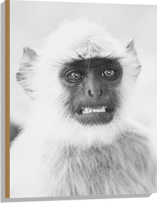 Hout - Twijfelende Witte Aap (Zwart- wit) - 60x80 cm - 9 mm dik - Foto ...