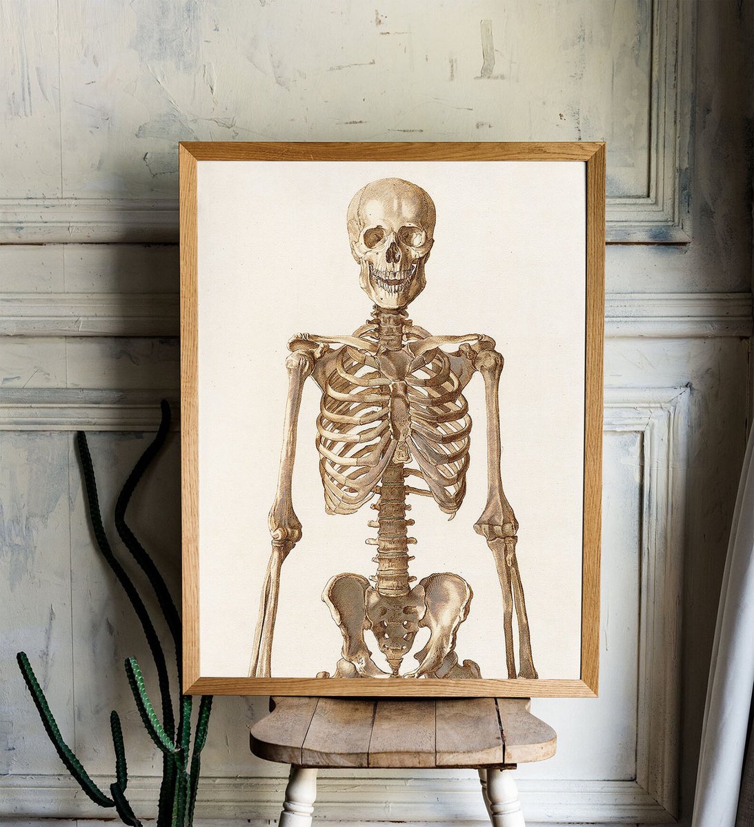 Vintage skelet poster, A3 | bol.com