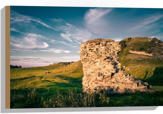 Hout - Stenen Rots in Groenkleurig Landschap Vol Schapen - 60x40 cm - 9 ...