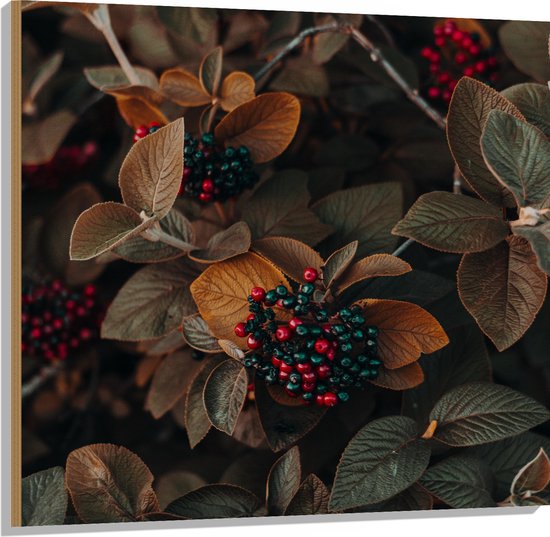 Hout - Kleine Rode en Paarse Besjes in Struik - 100x100 cm - 9 mm dik ...