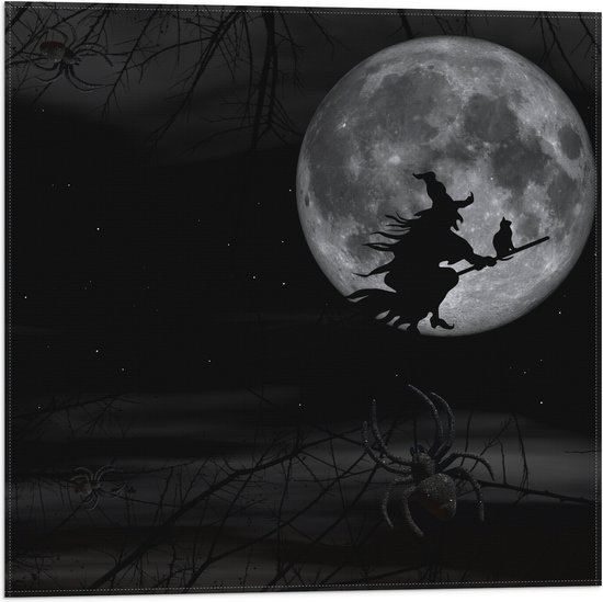 Vlag - Vliegende Heks op Bezemsteelbij Volle Maan - 50x50 cm Foto op ...