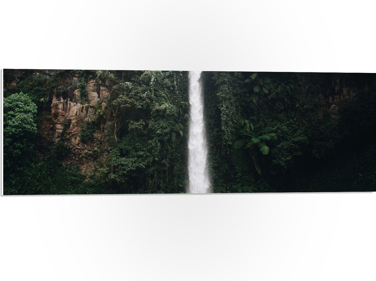 PVC Schuimplaat- Lange Waterval in Oerwoud - 90x30 cm Foto op PVC ...