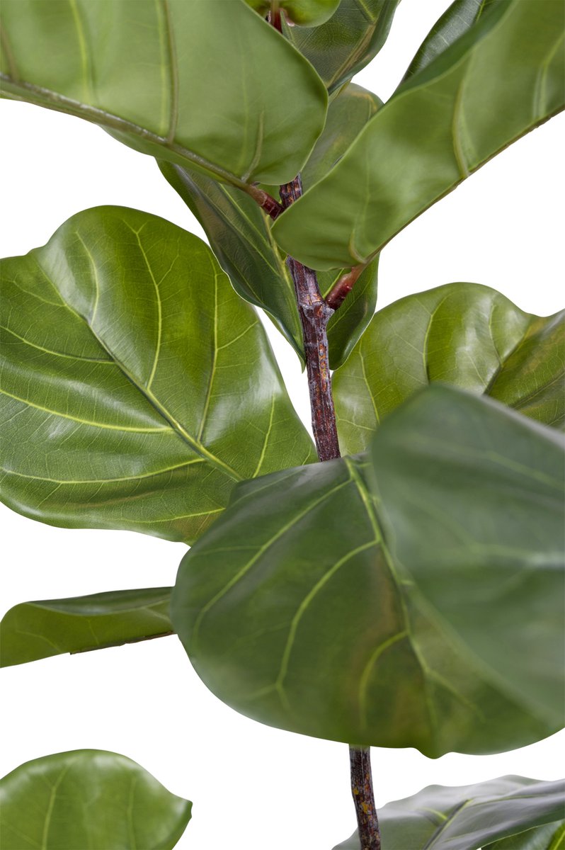 Greenmoods Kunstplanten - Kunstplanten - Ficus Tabaksplant Deluxe ... Greenmoods Kunstplanten - Kunstplanten - Ficus Tabaksplant Deluxe ...