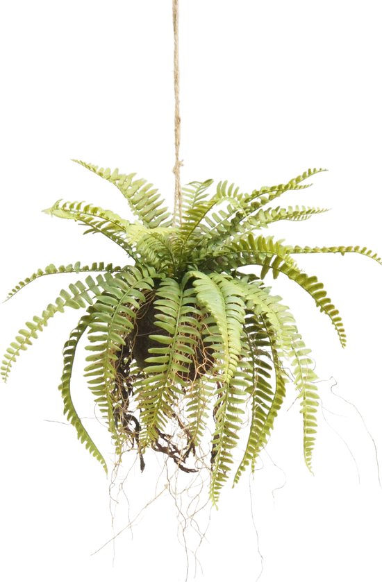 Greenmoods Kunstplanten - Kunstplanten - Kunst hangplant Varen op bal ... Greenmoods Kunstplanten - Kunstplanten - Kunst hangplant Varen op bal ...