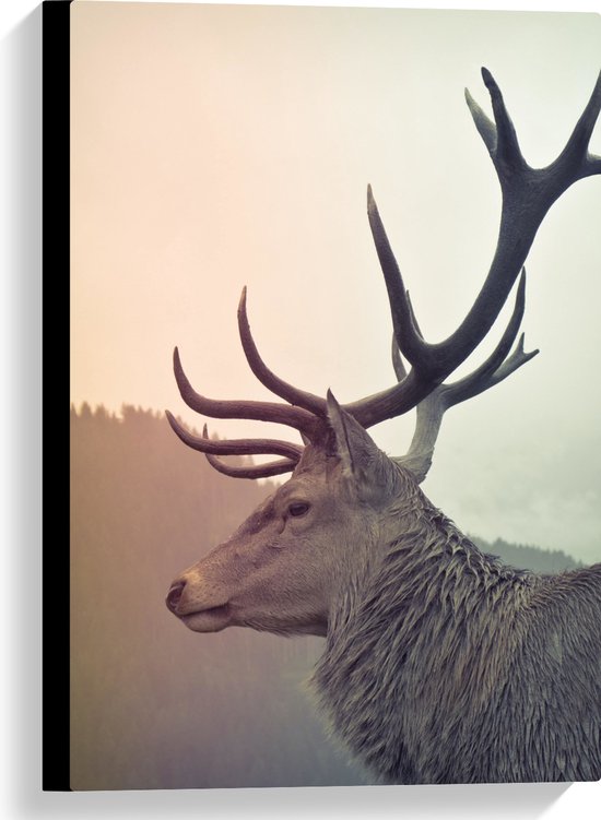WallClassics - Canvas - Bruin Hert met Groot Gewei - 40x60 cm Foto op ...