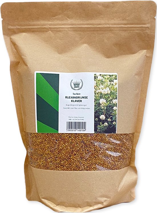 Ten Have Alexandrijnse Klaver | bol.com