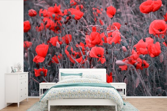 Behang - Fotobehang Rode Klaprozen in een zwart wit afbeelding ...