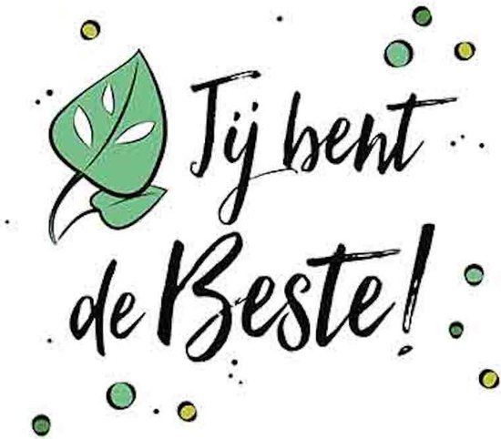 Wenskaart jij bent de beste | bol
