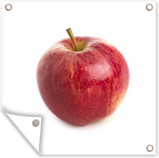 Tuin poster Appel - Rood - Fruit - 200x200 cm - Tuindoek - Buitenposter ...