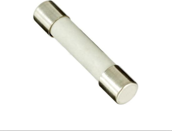 2x keramische zekering T250V / 5A / 30x6.0mm | bol.com