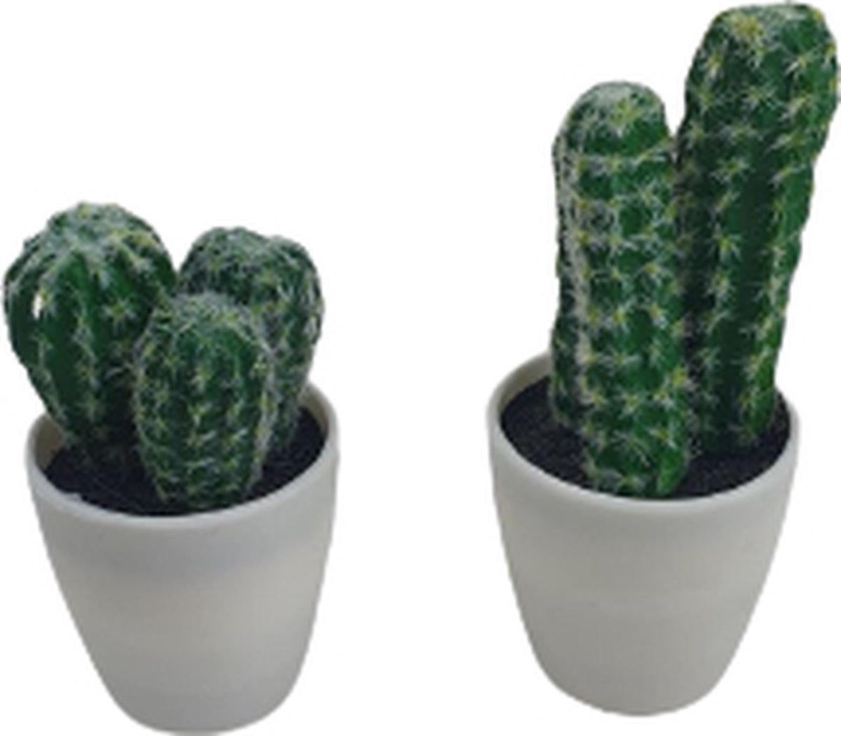 Mini Cactus - Set van 2 - Wit / Groen - Kunststof / Keramiek - Plantjes ...