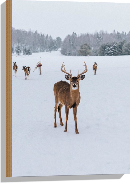 Hout - Vier Hertjes in de Sneeuw voor Groep Bomen - 40x60 cm - 9 mm dik ...