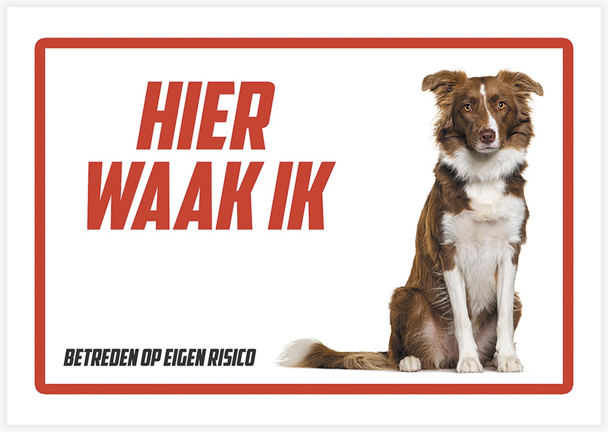 Waakbordje/ ultra dun plaatje | "Hier waak ik" | Bordercollie | Border ...