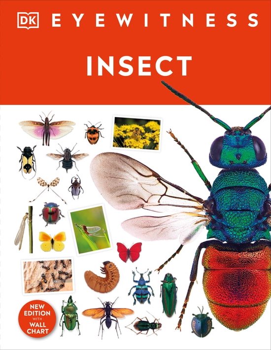 DK Eyewitness - Insect (ebook), Dk | 9780241650080 | Boeken | bol.com