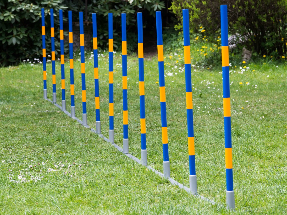 ProCyoN Agility professionele FCI slalom set 12 delig | bol.com