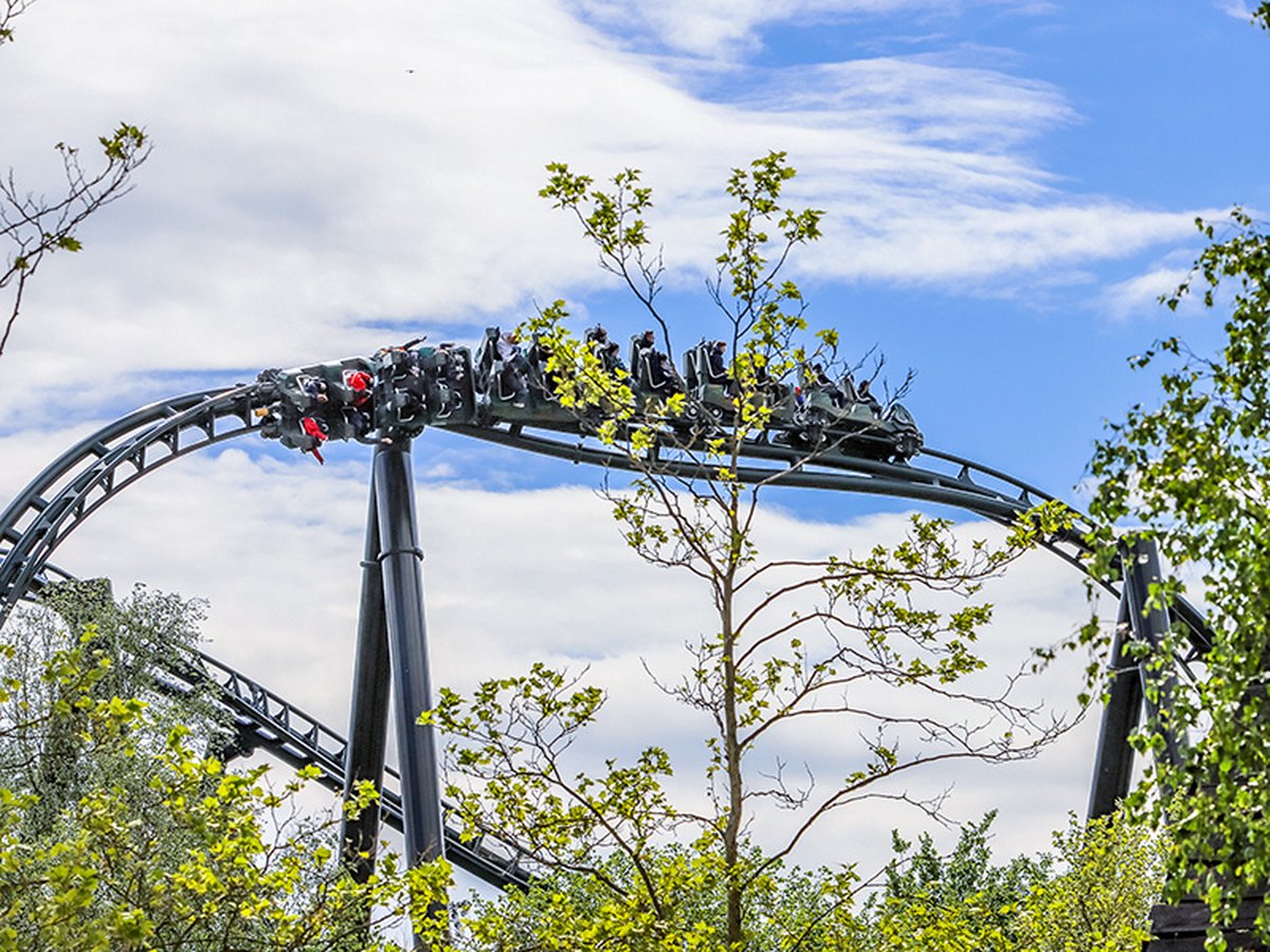Bongo Bon - DAGJE WALIBI VANAF APRIL TOT JULI VOOR 1 VOLWASSENE ...