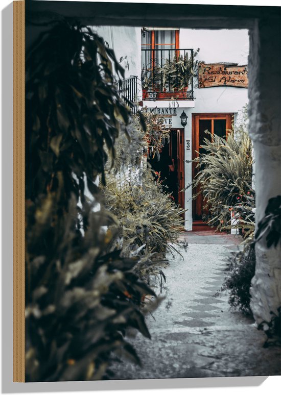 WallClassics - Hout - Begroeiing bij Patio van Woning - 40x60 cm - 9 mm ...