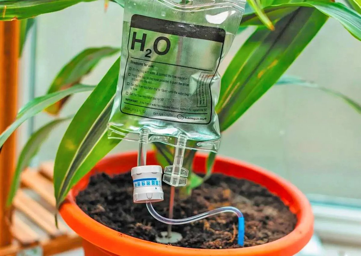 Plant infuus H2o - Waterdruppelaar - Automatisch bewateringssysteem ...