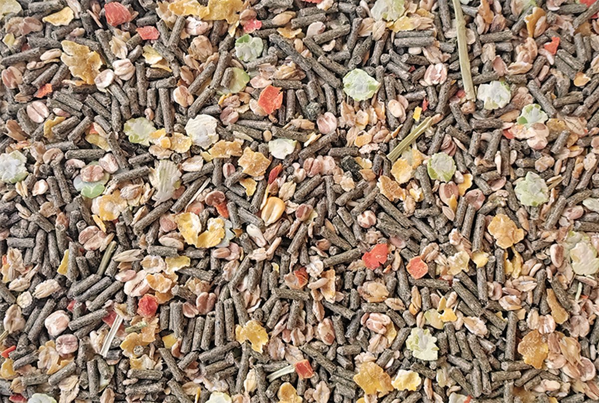 Alpacavoer - Alpaca Mix - Mijten 15 kg | bol.com