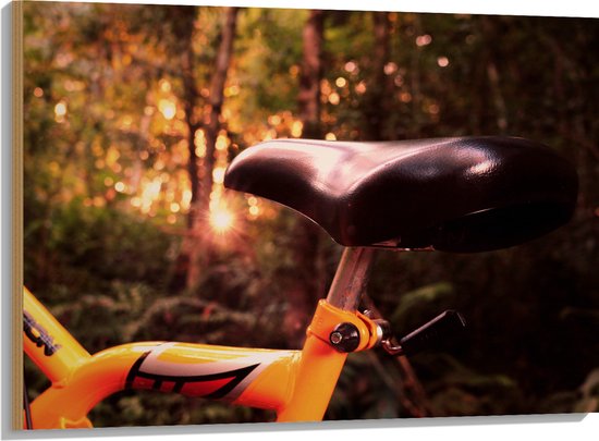 WallClassics - Hout - Zadel van Gele Fiets in het Bos - 100x75 cm - 9 ...