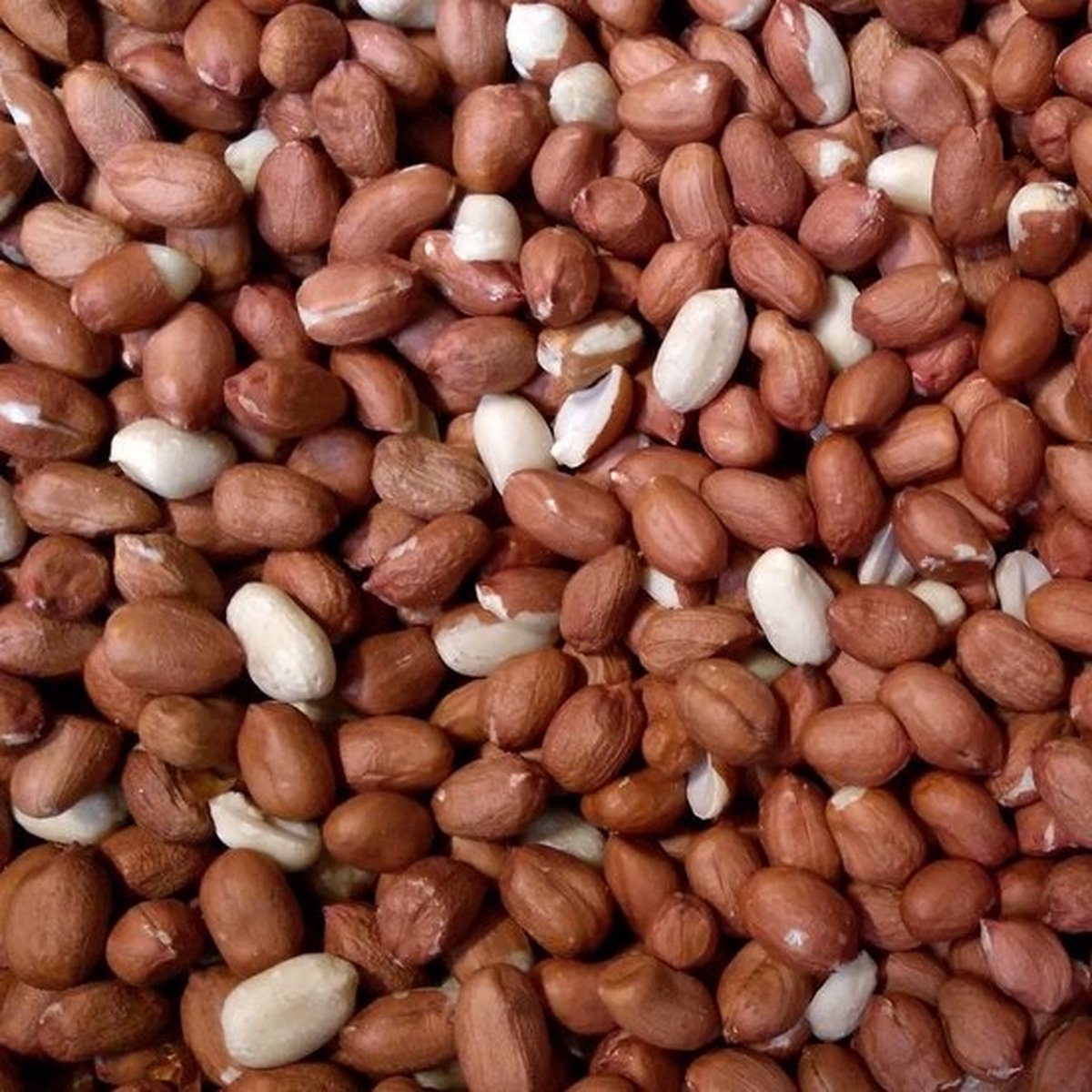 Pinda's - Gepelde Pinda's - Hoge kwaliteit - Olierijk - 10kg | bol