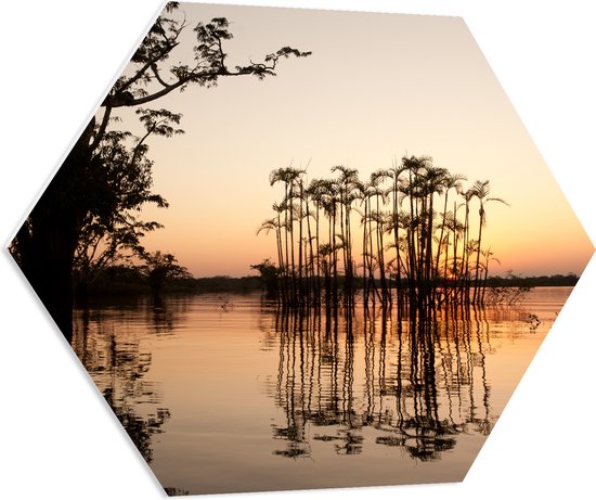 PVC Schuimplaat Hexagon - Hoge Smalle Bomen Groeiend in Water - 70x60.9 ...