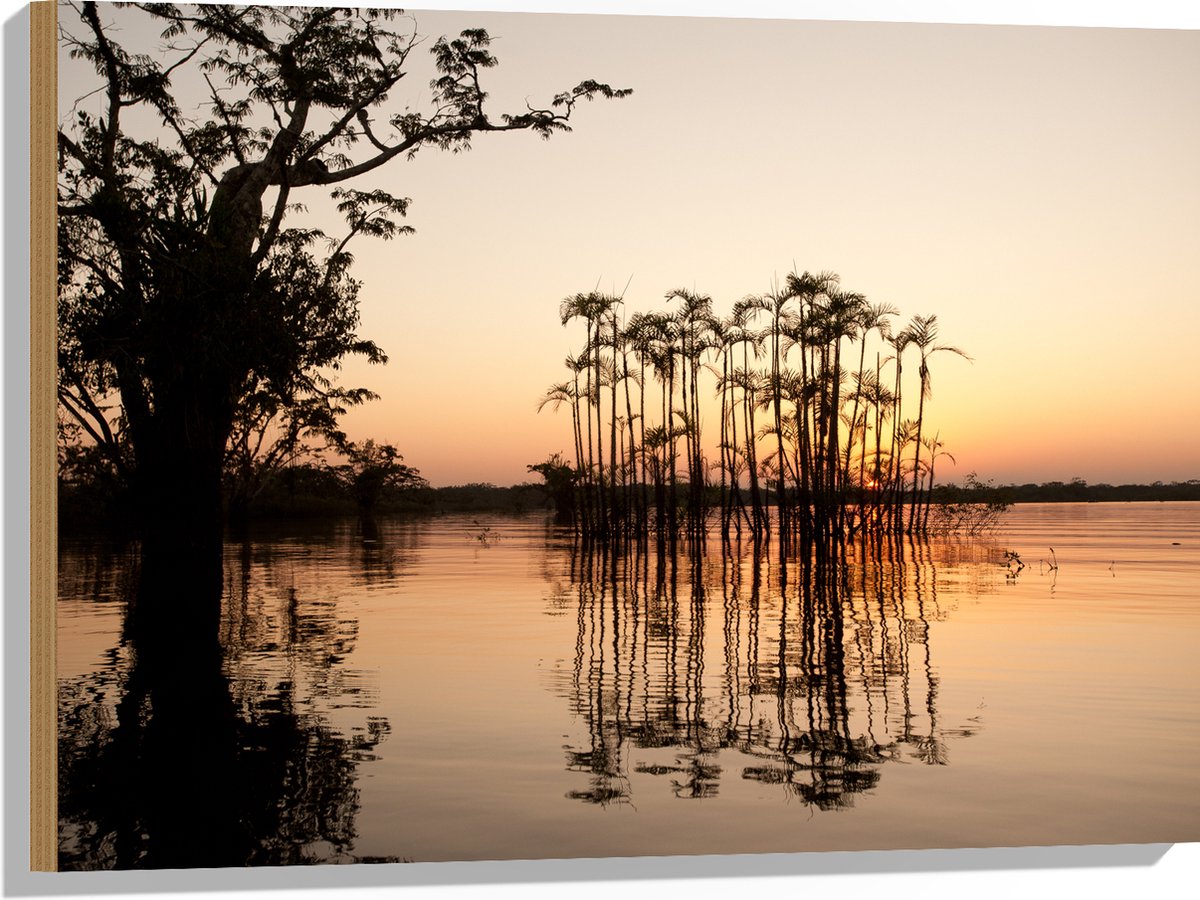Hout - Hoge Smalle Bomen Groeiend in Water - 80x60 cm - 9 mm dik - Foto ...