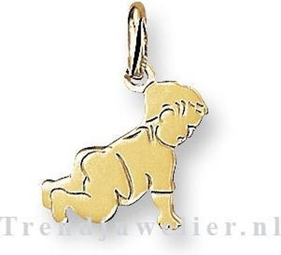 Trendjuwelier huiscollectie 4005887 Gouden bedel baby | bol