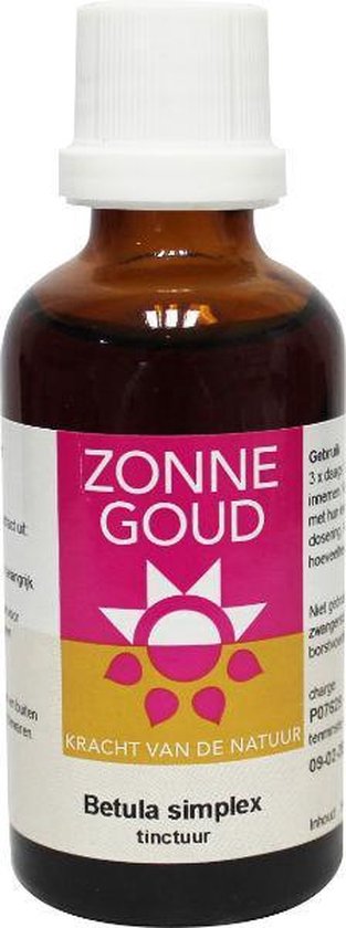 Betula Simplex Zonnegoud | bol