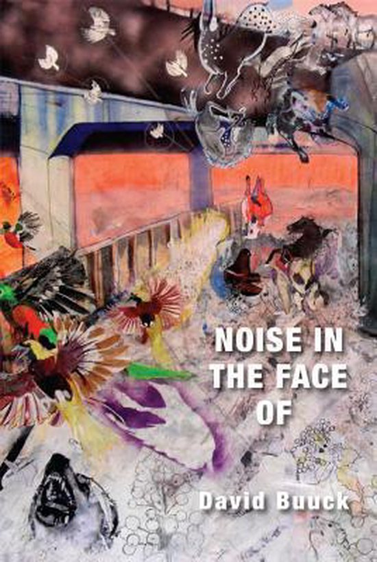Noise in the Face of, David Buuck | 9781931824675 | Boeken | bol
