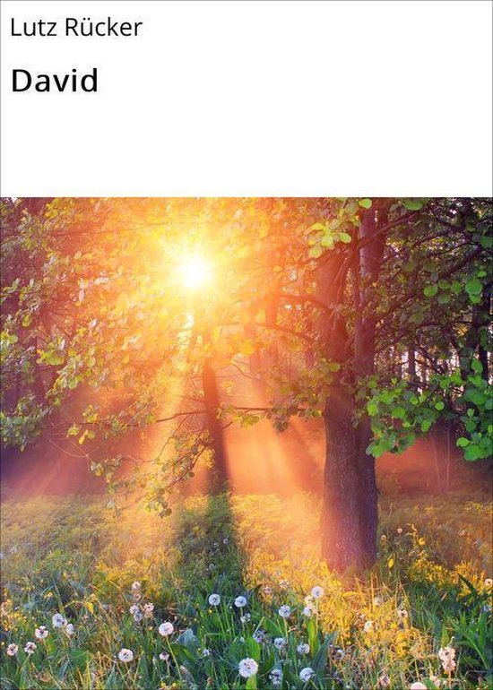 David (ebook), Lutz Rücker | 9783742789365 | Boeken | bol.com